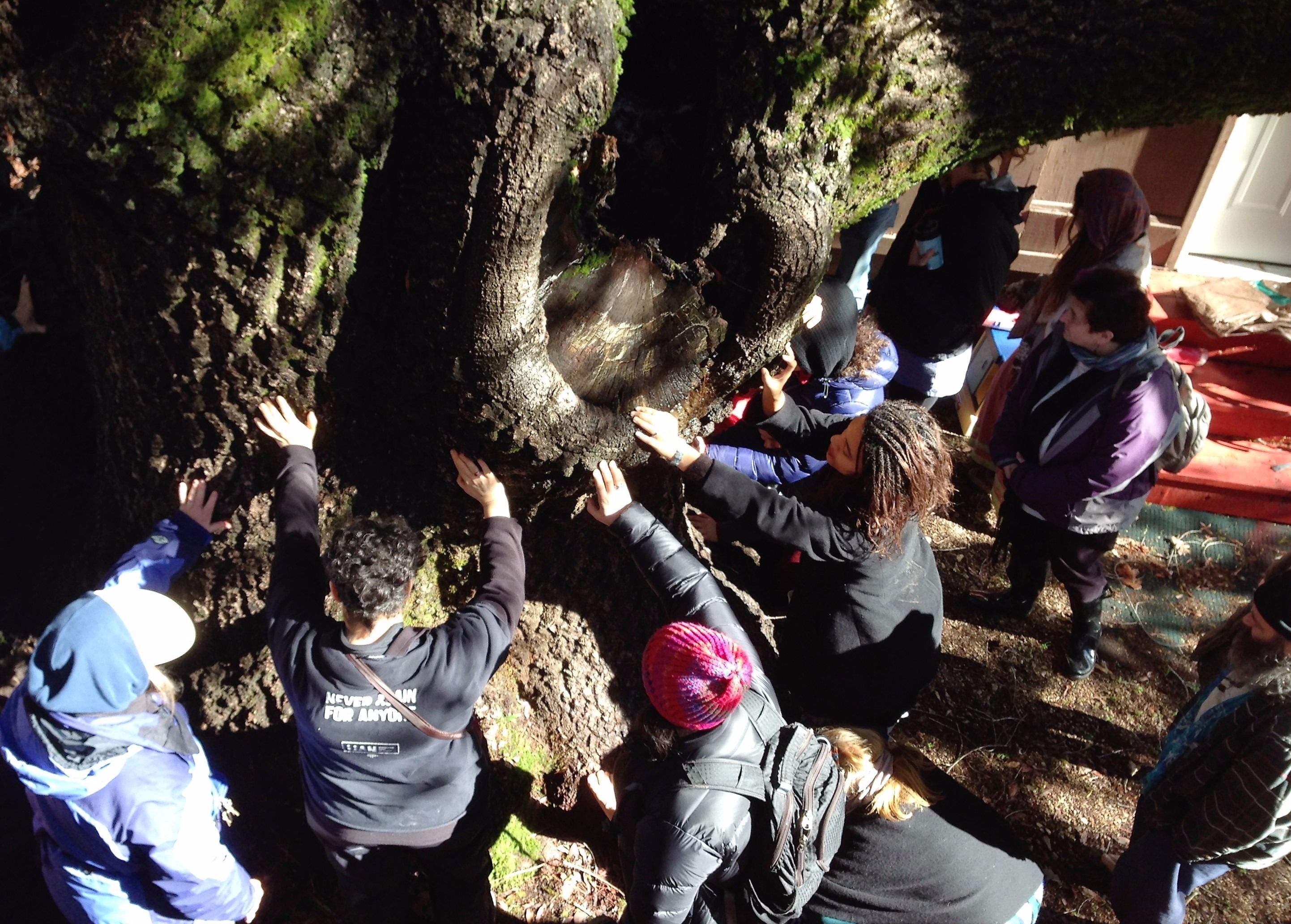 Jewitches and the history of magic in Judaism – The Forward